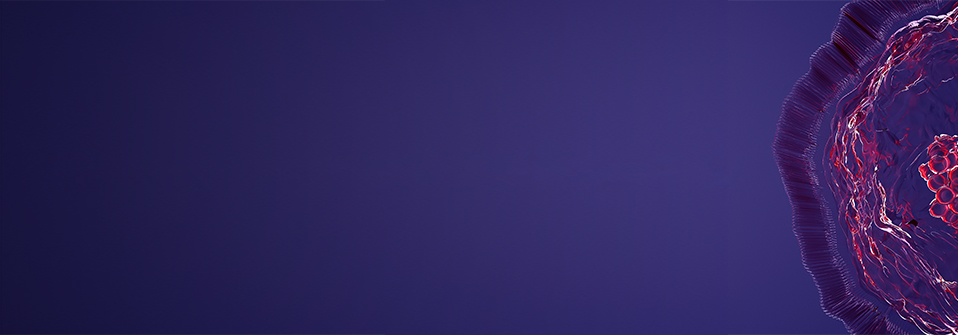 Webcast #3: Navigating the Storm - KPMG Events